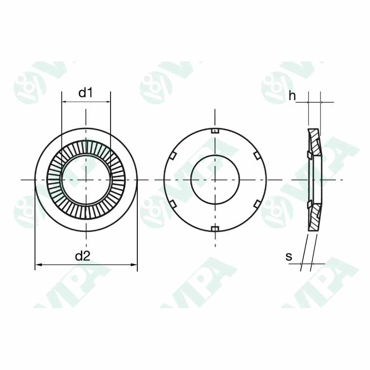 Conical elastic toothed contact washers